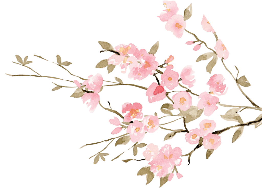 Mis XV Mariana Mishell - Event Media